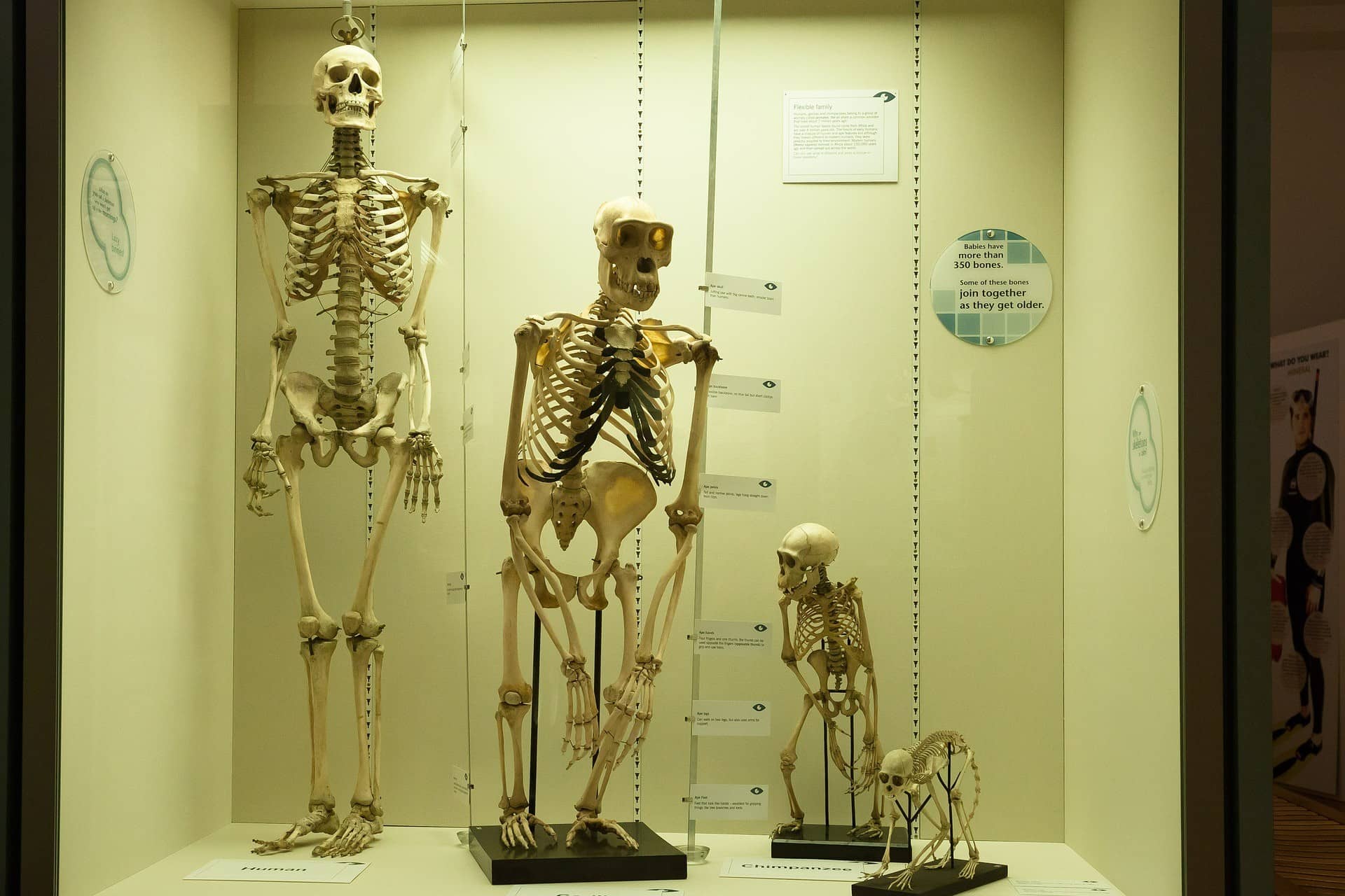 Trondheim Community Science Musem